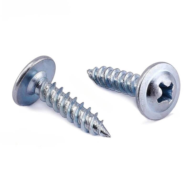 TRUSS PHILIPS SCREWS 4.2X16 200PCS : Liotatis Timber & DIY